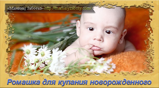 Как заваривать ромашку для купания новорожденного